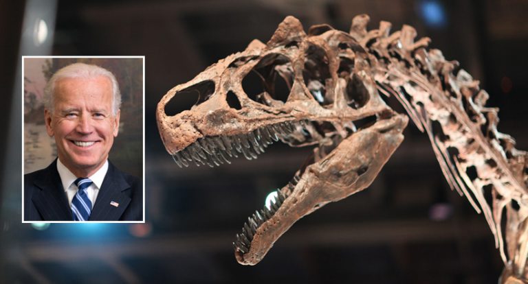 Le Gorafi.fr Gorafi News Network