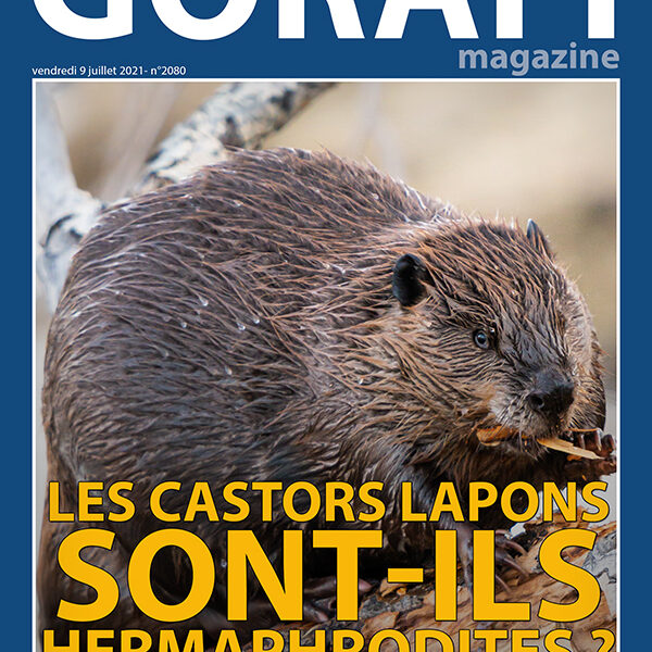 Home - Le Gorafi.fr Gorafi News Network